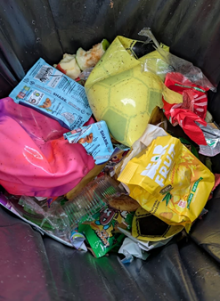 The Green Team's New Initiative! - The Vineyard School