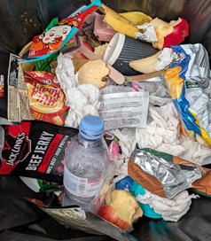 The Green Team's New Initiative! - The Vineyard School