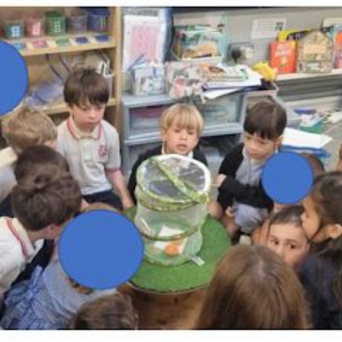 EYFS News - The Vineyard School